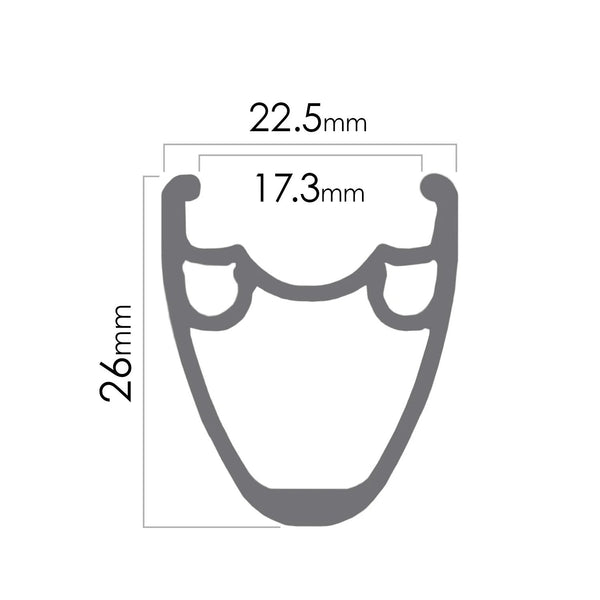 PRO-LITE - RD-10 DISC BRAKE / THRU AXLE WHEELSET – Löwenzahn Bikes